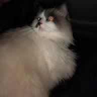 Munterzz _ | Sledders Mods